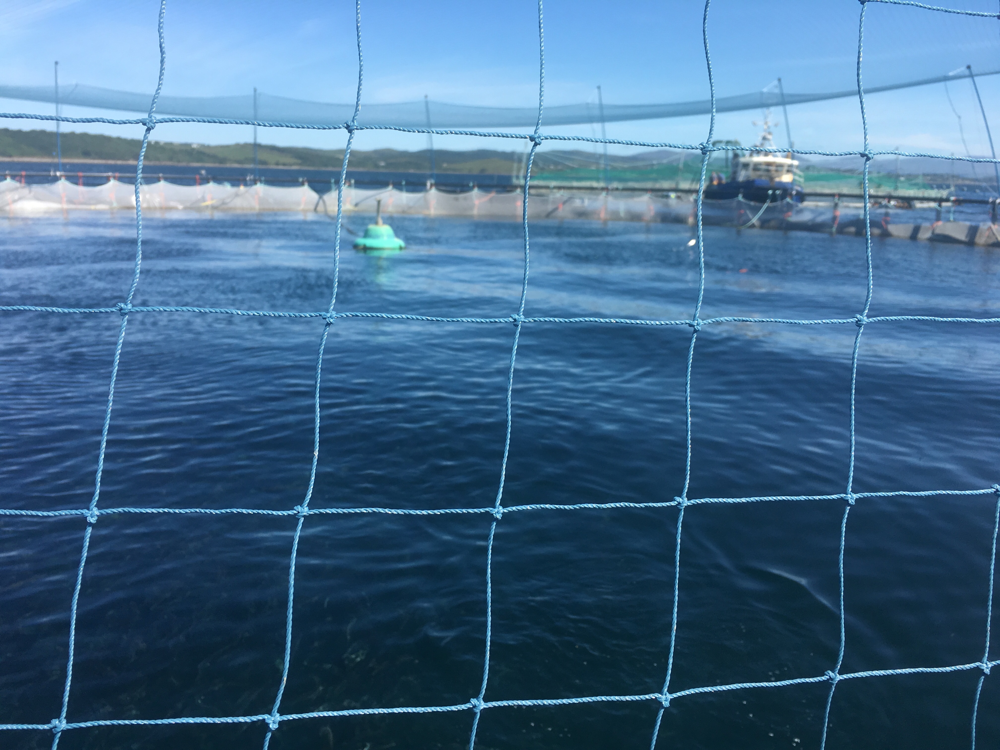 We provide a variety of durable lice skirts for various fish farms